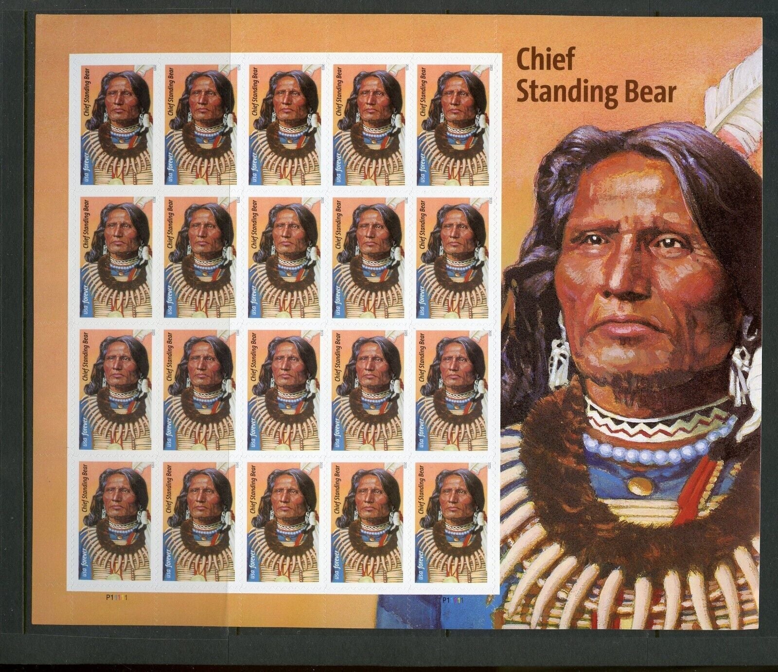 Chief Standing Bear Forever Postage Stamps – Mailboxes of Flushing