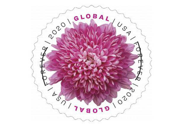 Global Chrysanthemum International First Class Forever US Stamps ...
